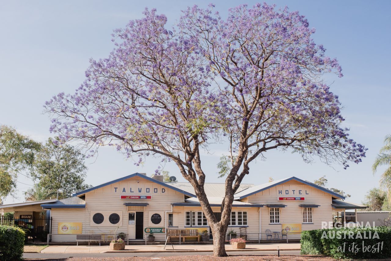 Regional Australia at its Best | Goondiwindi Regional Council