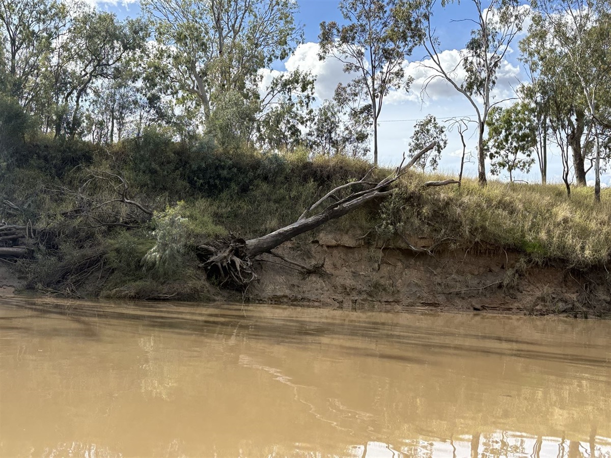 Major project underway to secure Goondiwindi’s levee | Goondiwindi ...