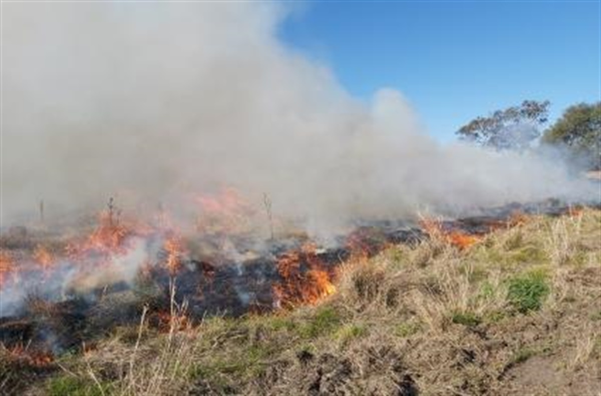 Cool burning fire management underway | Goondiwindi Regional Council